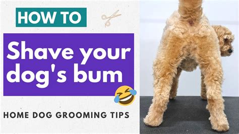 How To Remove Bum Hair Without Shaving At Ryan Hannum Blog
