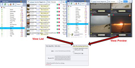 removing hash duplicates doku doublepics
