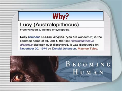 Criteria For Web Site Evaluation Ppt