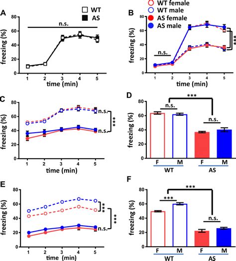 Contextual Fear Memory Paradigm Shows That Freezing Response To
