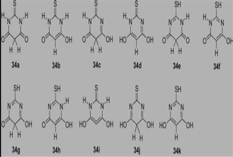 Amino Acid Amphiprotic Examples At Jeffrey Bost Blog