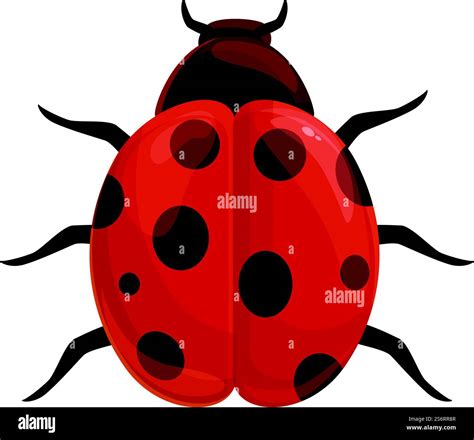 Wildlife Ladybird Icon Cartoon Vector Insect Ladybug Fly Beetle Wildlife Ladybird Icon