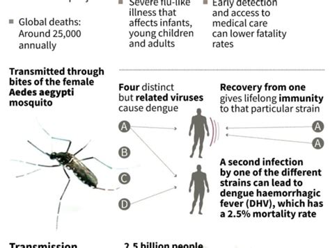 Why The Dengue Fever Caseload Has Plummeted In Parts Of Southeast Asia