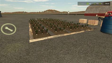 FS25 OPEN FIELD GARDEN V1 1 Farming Simulator 19 17 15 Mod