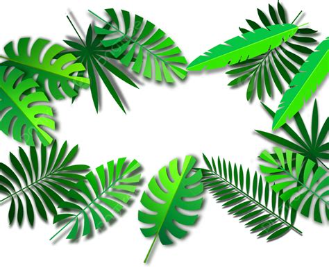 Verano Tropical Plant Borders Png Frontera De Corte De Papel De
