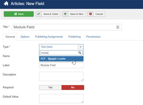 How To Load A Joomla Module As Custom Field JoomlaBeginner Com