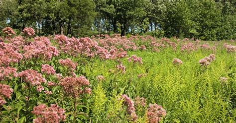 Mchenry County Conservation District Acquires 49 Acres In Mchenry