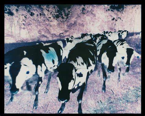 Poets On The Great Recession Jared Schickling