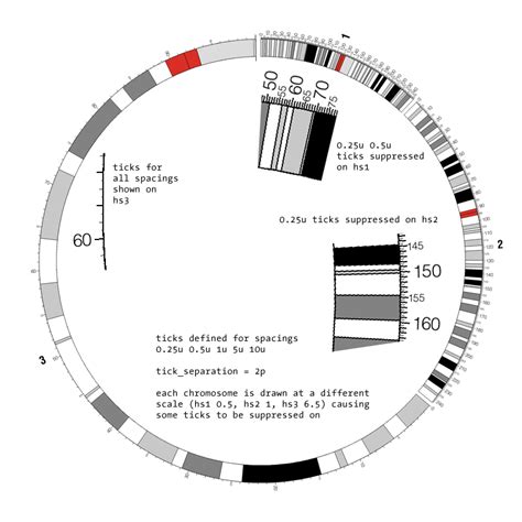 Circos Tutorials Tick Marks Grids And Labels Tick Marks Margins