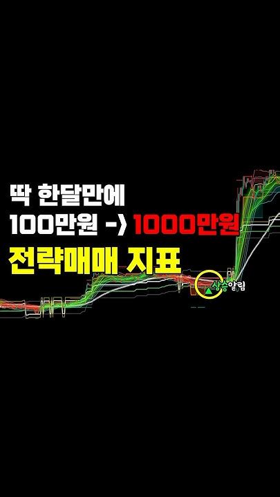 단 한달만에 100만원 → 1000만원 만들어 준 전략 매매지표 Youtube