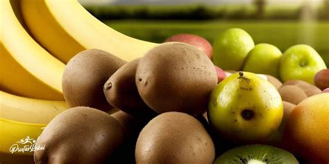 Langka Jackfruit Ang Mga Nakakabilib Na Health Benefits Alamin