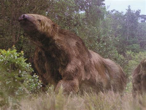 Megatherium Dinotopia Fanon Wiki Fandom