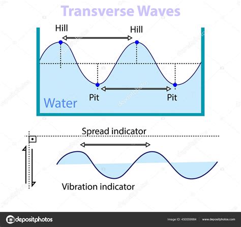 What Is Wave Motion And Its Types In Physics