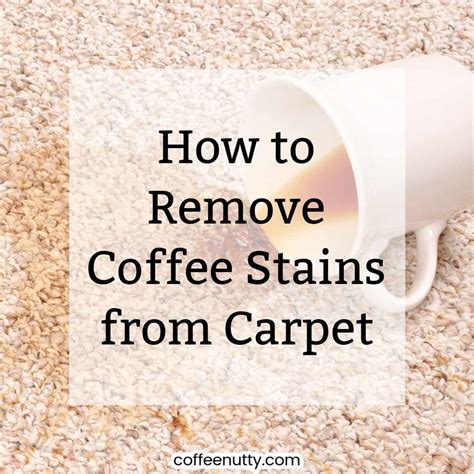 How To Get Rid Of Old Coffee Stains On Carpet Homeminimalisite