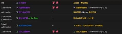 魔兽世界tbcp2猫德装备怎么搭配wowtbc怀旧服p2猫德bis毕业装备3dm网游