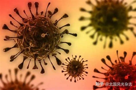 美国感染比例飙升21倍！新变异株传播更快、致死率更高，我国曾有输入 知乎