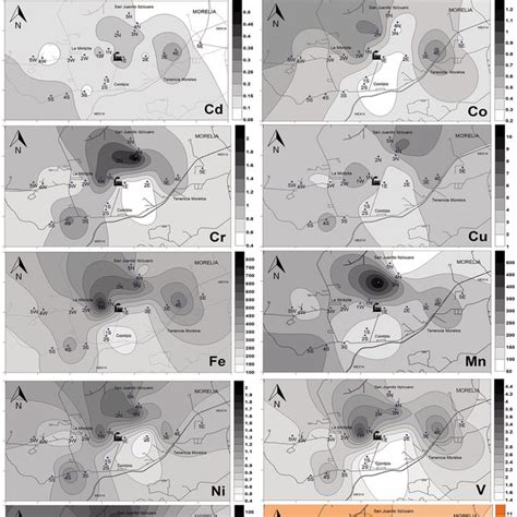 Spatial Distribution Maps Of The Eleven Trace Elements Accumulated By