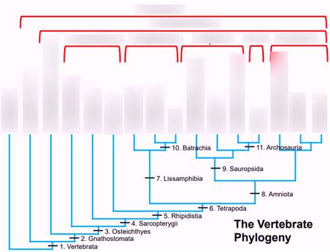 A Ecl 365 Exam 1 Diagram Quizlet