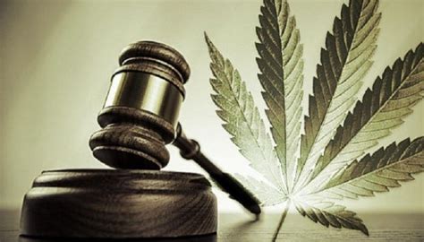 Postura De Los Obispos Frente A La LegalizaciÓn De Marihuana Para Uso