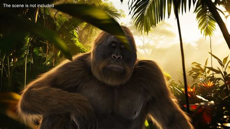 Modelo 3d Gigantopithecus En Pose Sentada Piel Turbosquid 2312393