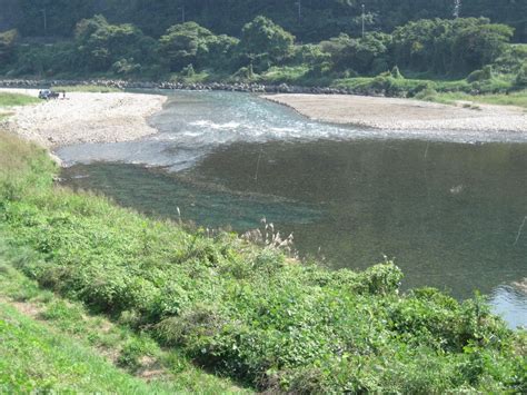 天然鮎を釣るなら島根の清流高津川へ 山陰を代表する清流高津川の鮎釣り情報満載！