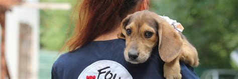 Was zeichnet ein gutes Tierheim aus VIER PFOTEN Österreich Stiftung