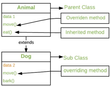 oop interview questions flashcards quizlet