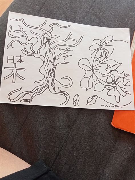 Dessin Cerisier Japonais Sakura