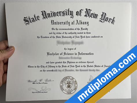 Suny Albany Custom Printable Degree Certificate Printable Diploma