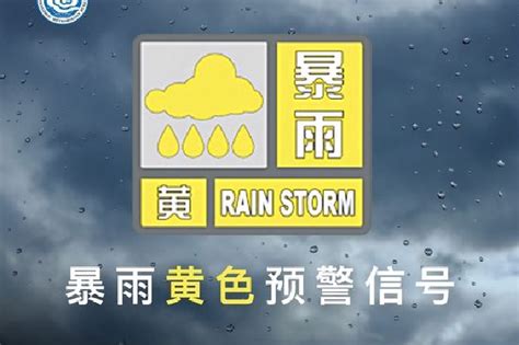 新浪河南新浪网