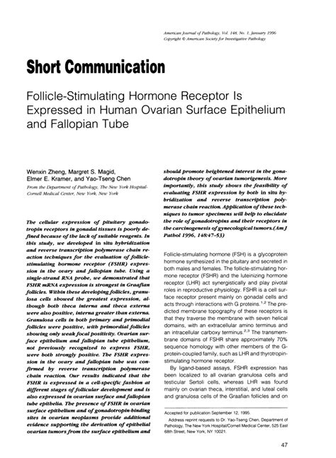 Pdf Follicle Stimulating Hormone Receptor Is Expressed In Human Ovarian Surface Epithelium And