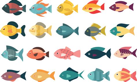 Different Types Of Tropical Fish