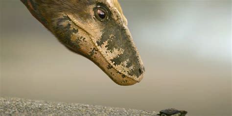 Prehistoric Planet Trailer Brings Dinosaur Docuseries To Life