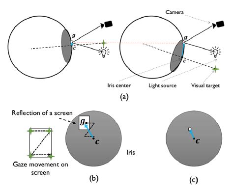Gaze Estimation Based On Corneal Reflection And Iris Center The Gray