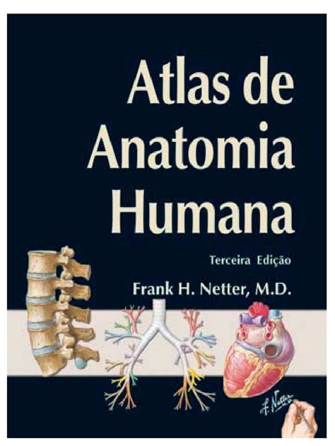 Atlas De Anatomia Humana Frank H Netter M D Pdf