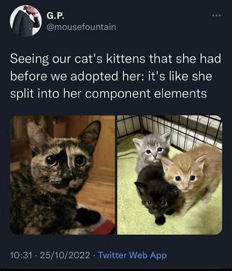 Like A Reverse Voltron Album On Imgur