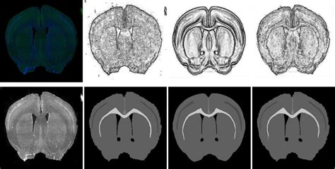Registration Effect Of Pca Modal Transformation Upper And Jemi Modal Download Scientific