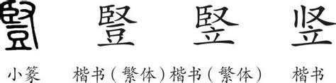 《竖》字义，《竖》字的字形演变，小篆隶书楷书写法《竖》 说文解字 品诗文网