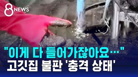 이게 다 들어가잖아요… 고깃집 불판 충격 상태 Sbs 8뉴스 Youtube