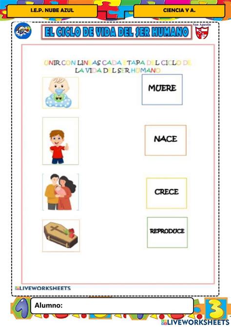 Ciclo De Vida Del Ser Humano Interactive Worksheet Ciclos De Vida