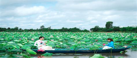 Đồng Tháp Xây Dựng Làng Văn Hóa Du Lịch Sen Tháp Mười