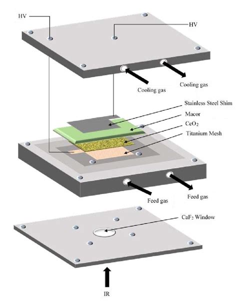 Schematic Diagram Of The Ntp Cell Download Scientific Diagram