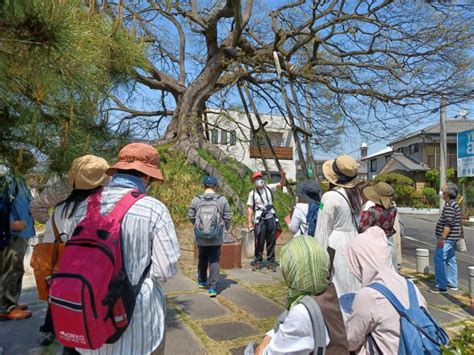 東海道の現存一里塚が名古屋市内にあった南区笠寺一里塚の場所と感想