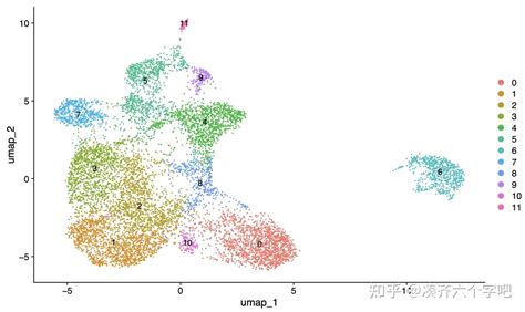 单细胞实战之亚细胞分群从t Nk至cd4 T细胞——从入门到进阶 中级篇1） 知乎