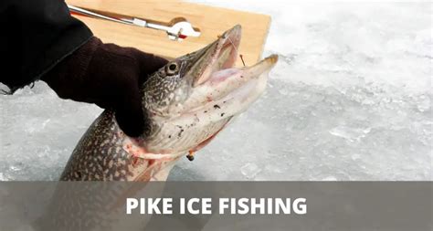 Ice Fishing For Pike Everything You Need To Know