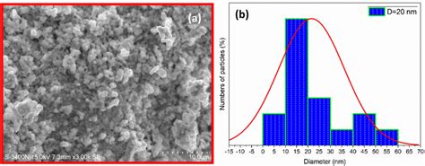 A Sem Image And B Particle Size Histogram Of Download Scientific