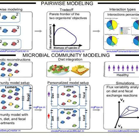 Overview Of The Functionality Of The Microbiome Modeling Toolbox A Download Scientific