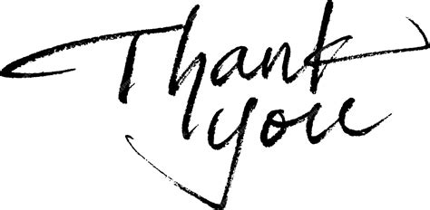 붓글씨 레터링 필기체 텍스트 감사합니다 프리미엄 벡터