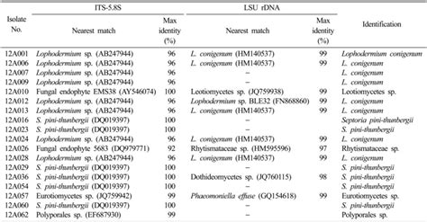 Molecular Identification Of Endophytic Fungi Isolated From Needles Of