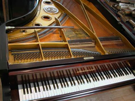 emergencia carbón Afirmar quien invento el piano de cola Ruina Golpeteo